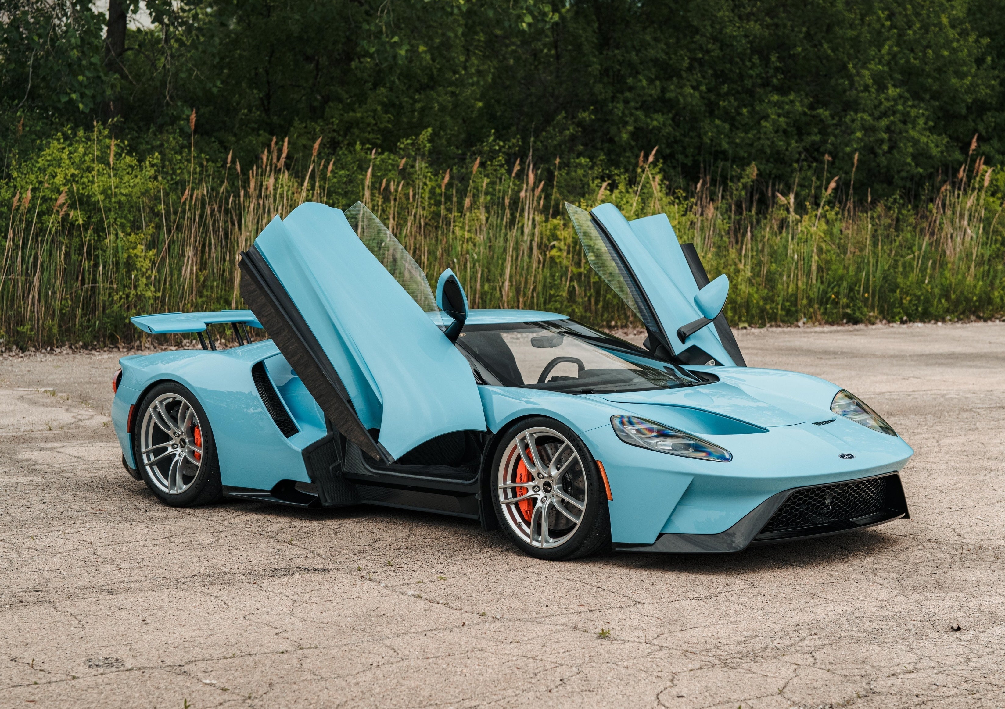 Ford GT New – TheHamiltonCollection